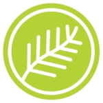 Lineup - Spring '24 - CRSSD ‡ Festival Spring '24