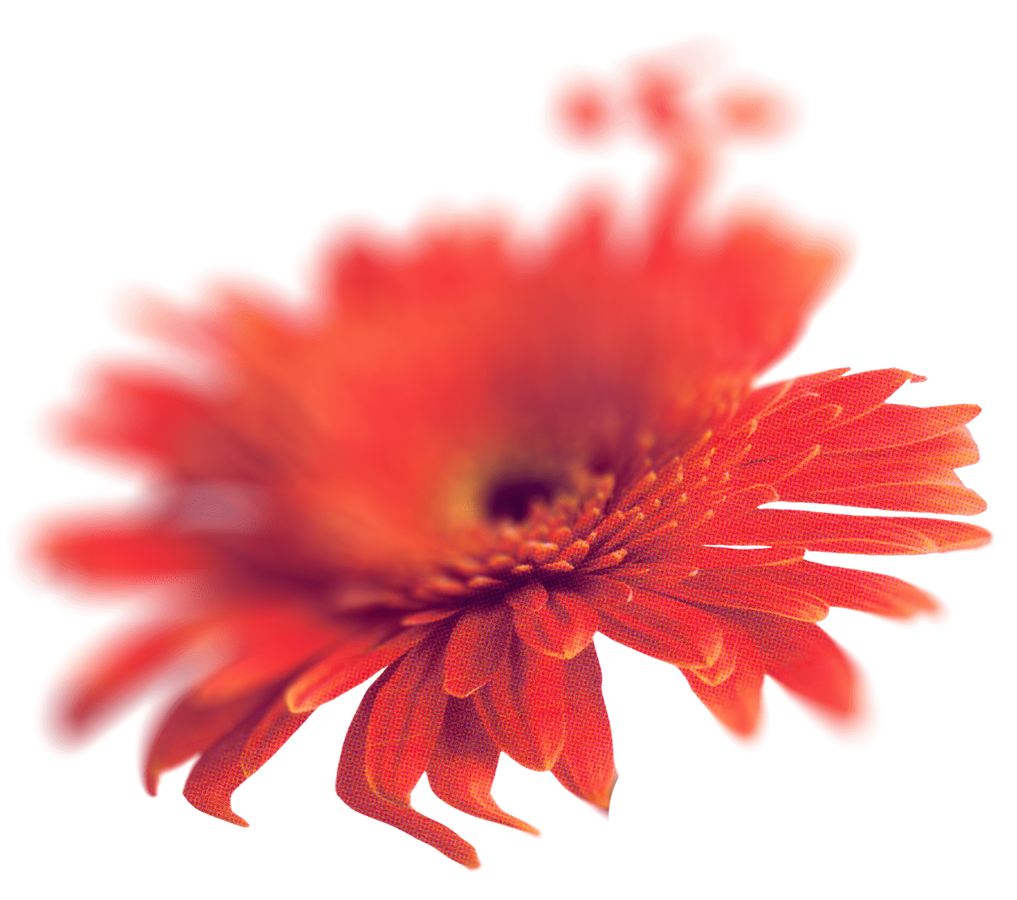 Thank You - CRSSD ‡ Festival Fall '24